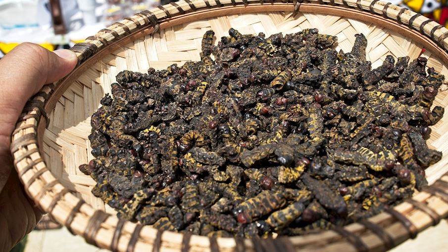 Famous dish in Angola - Global Diversity Hub