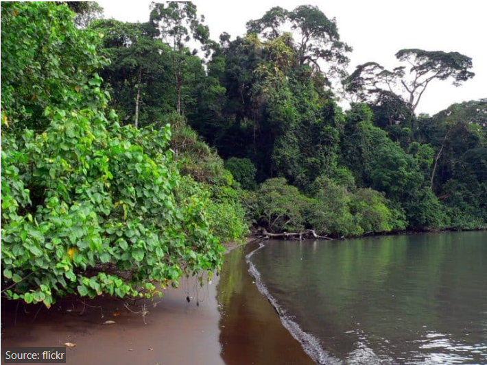 Tourist Attraction in Cameroon - Global Diversity Hub