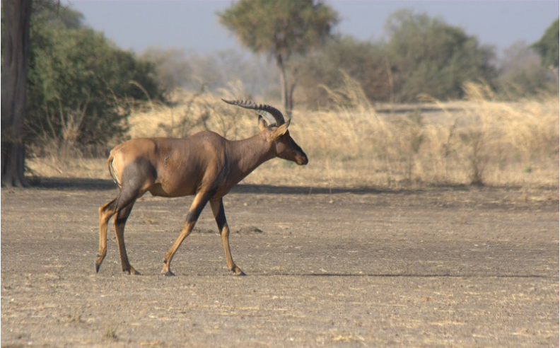 Tourist Attraction in Cameroon - Global Diversity Hub