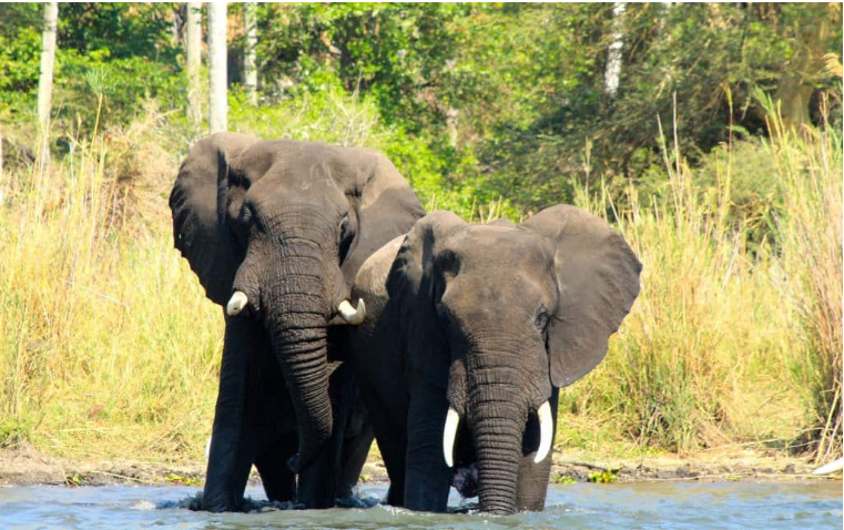 Tourist Attraction in Malawi - Global Diversity Hub