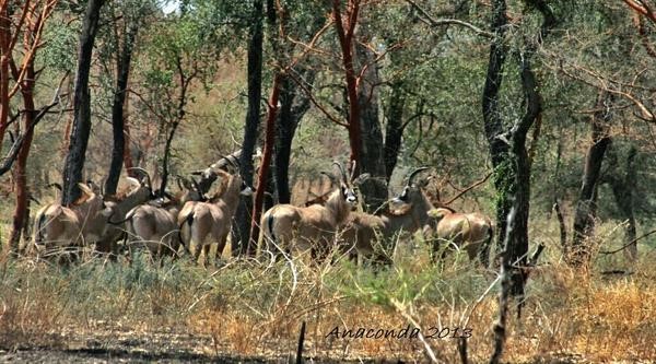 Tourist Attraction Sites in Sudan - Global Diversity Hub