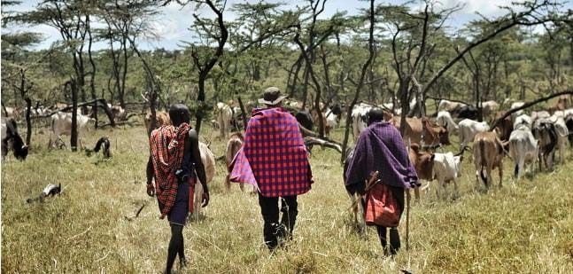 Eastern African Marriages and How They Contribute to Cultural Diversity ...