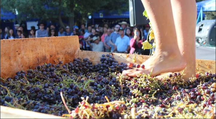 Chilean Culture: The Best Festivals to Add to Your Travel Itinerary ...