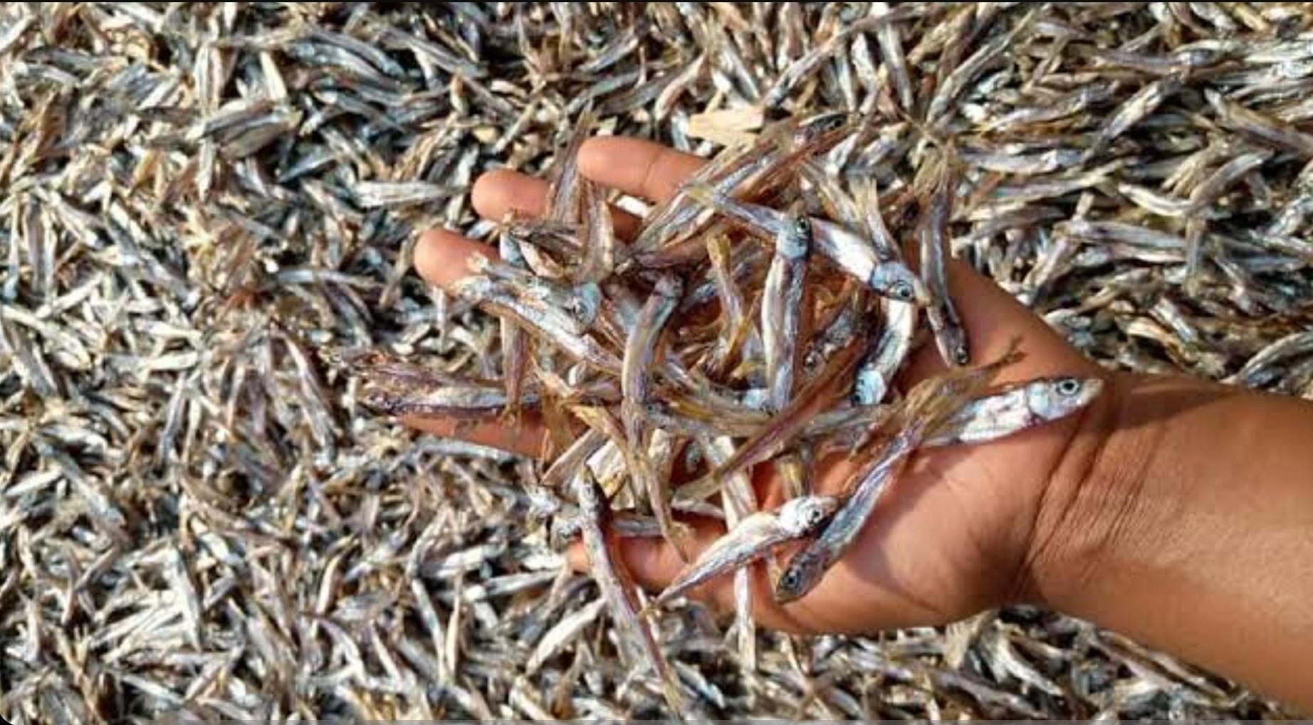 Exploring Zambia’s Unique Ethnic Foods and Cooking Customs - Global ...
