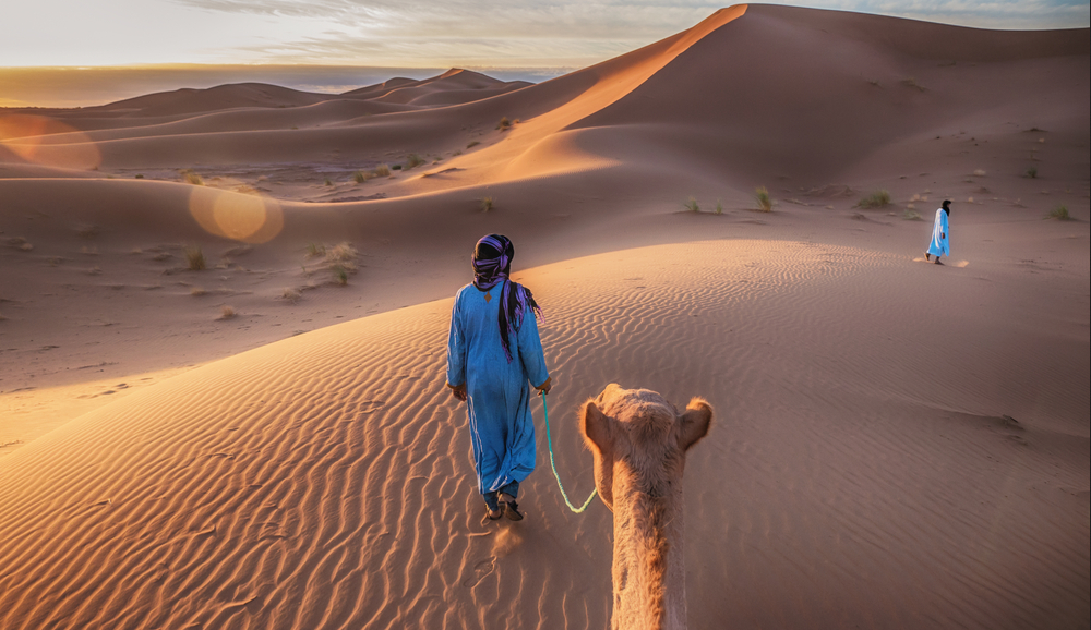 Sahara Desert Highlights: Epic Adventures Every Explorer Should Try ...
