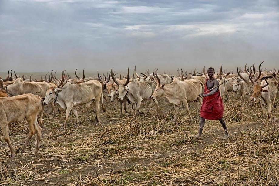 Understanding the Dinka Language: A Deep Dive into South Sudan’s ...