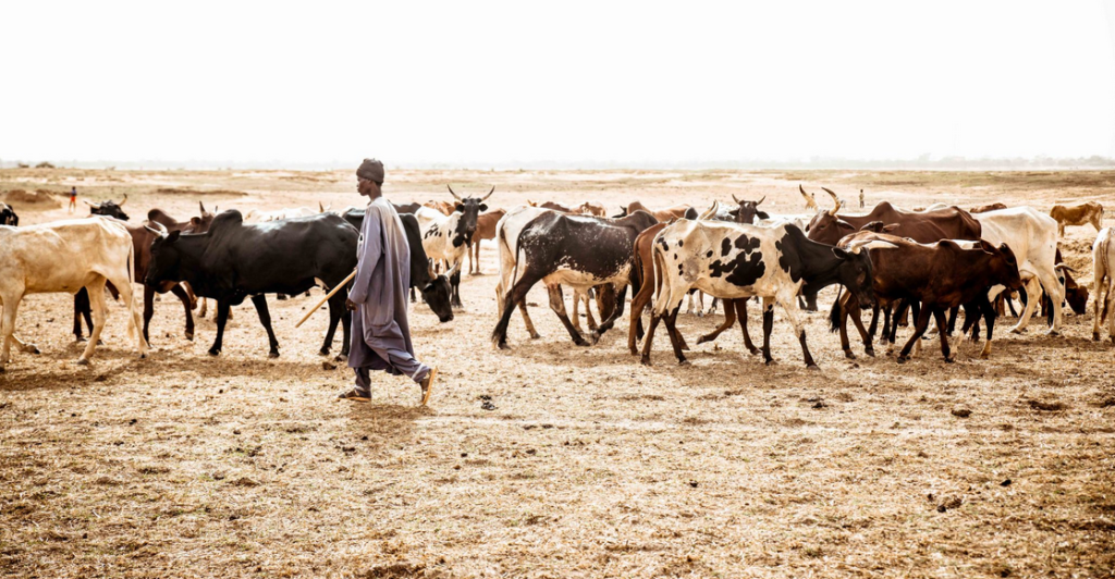 The Fula Language: Exploring One of Africa’s Most Influential Languages ...