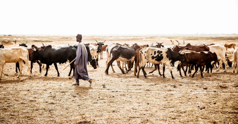 The Fula Language: Exploring One of Africa’s Most Influential Languages ...