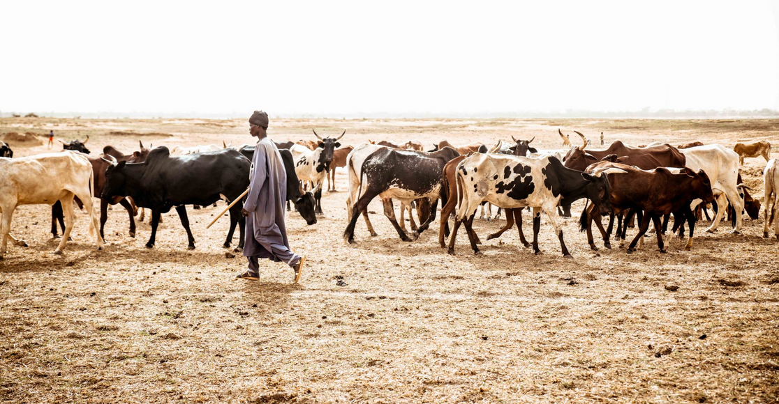 The Fula Language: Exploring One of Africa’s Most Influential Languages ...